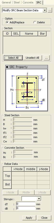 Modify SRC Beam Section Data