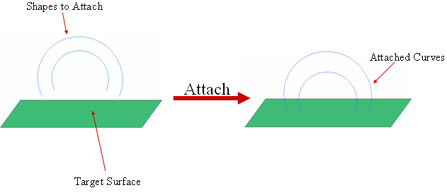 Transform_Attach