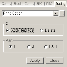 Define Print Option