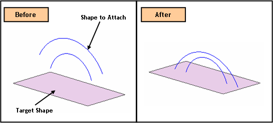 Transform_Attach